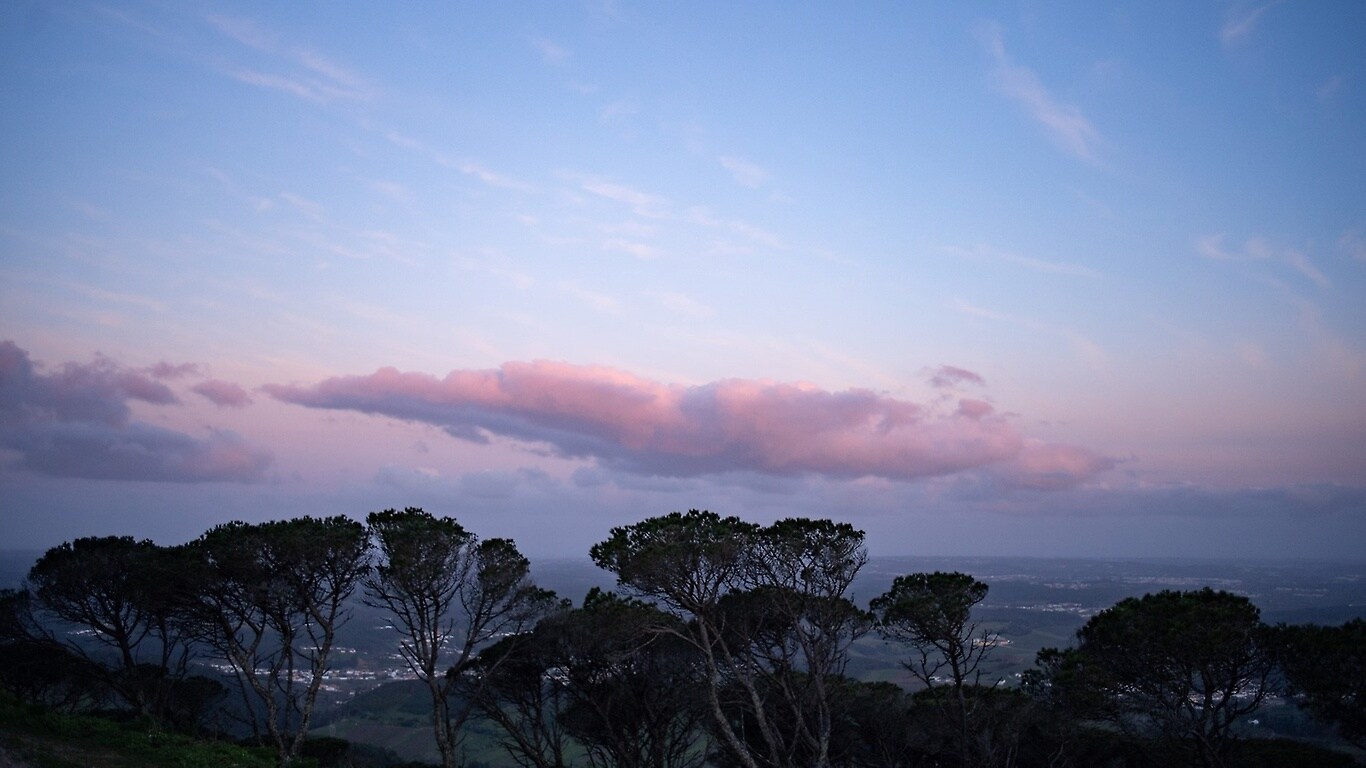 Mercedes-Benz Biodiversity Policy | Mercedes-Benz Group ...